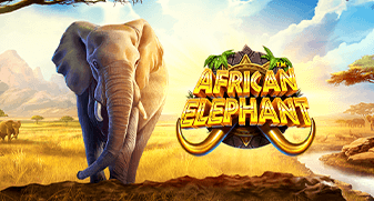 African Elephant | Chips.gg